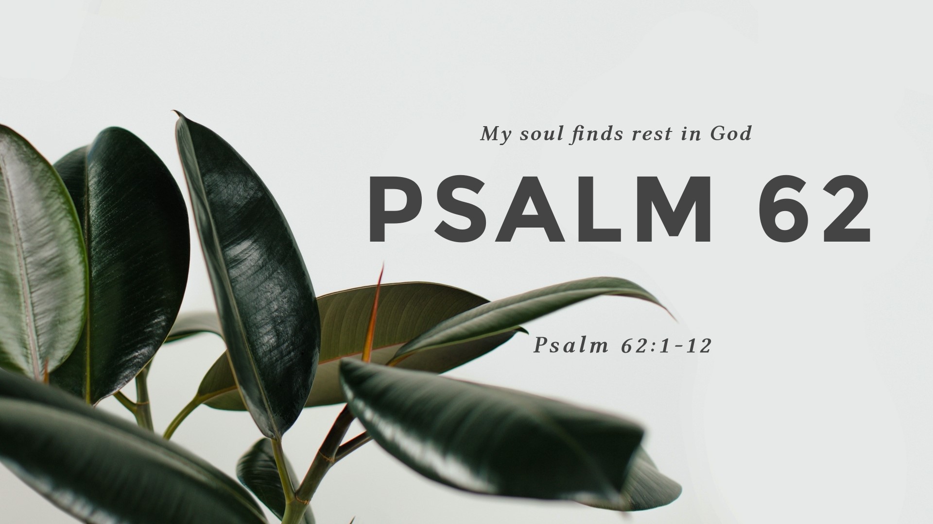Psalm 62 – My Soul Finds Rest in God – theSteveLucas